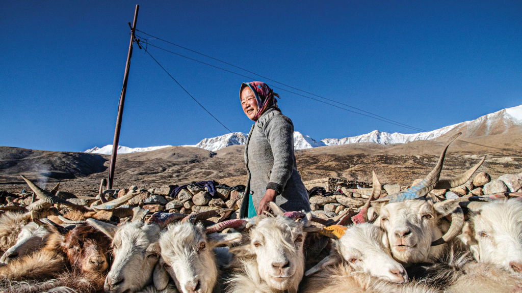 Through The Lens: The Struggle Of Climate Crises In Changtang, Ladakh