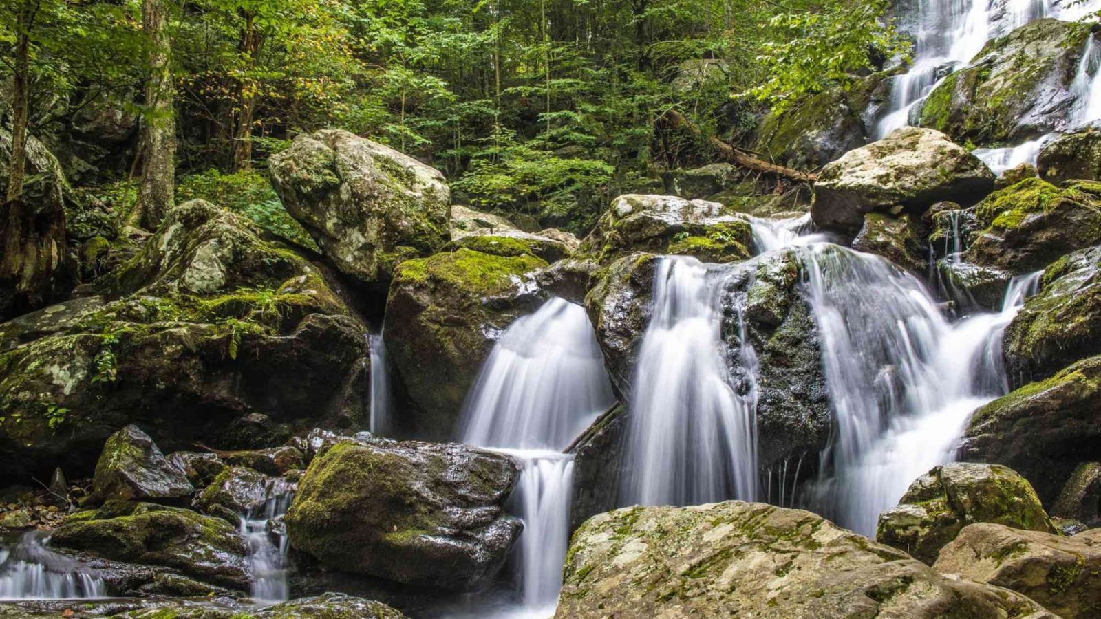 15 Best Places To Visit In Virginia, According To Locals