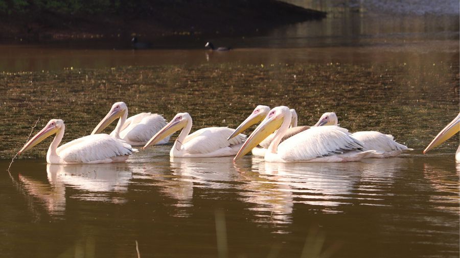 Places To Visit In Jamnagar: Travel Guide to The Best Tourist ...