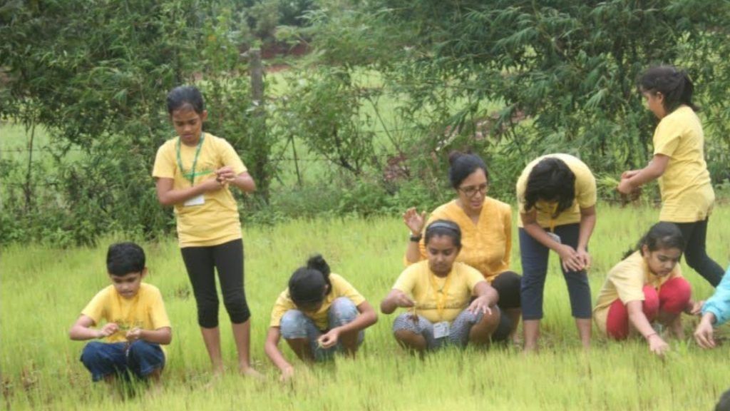 Meet The Couple That Turned A Barren Land Into Suma Forest, Nashik