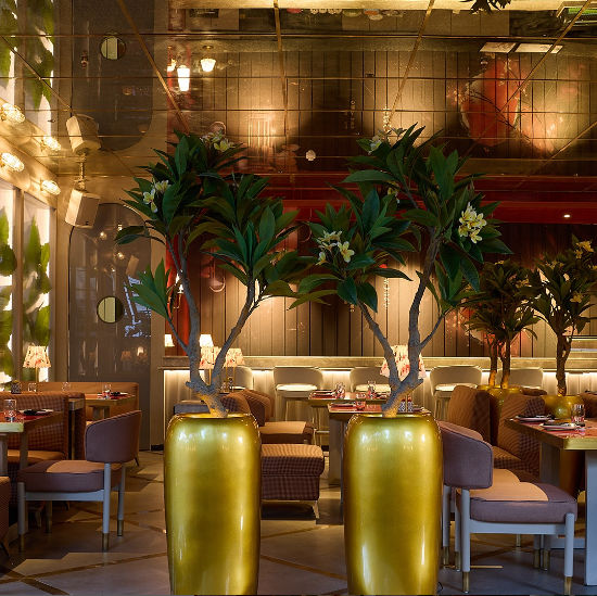 Gauri Khan's Restaurant Torii: Visit Luxurious Asian Dining In Bandra 2024
