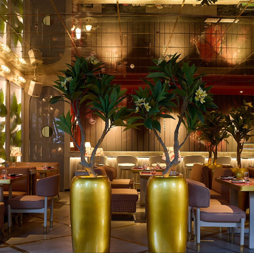 Gauri Khan's Restaurant Torii: Visit Luxurious Asian Dining In Bandra 2024