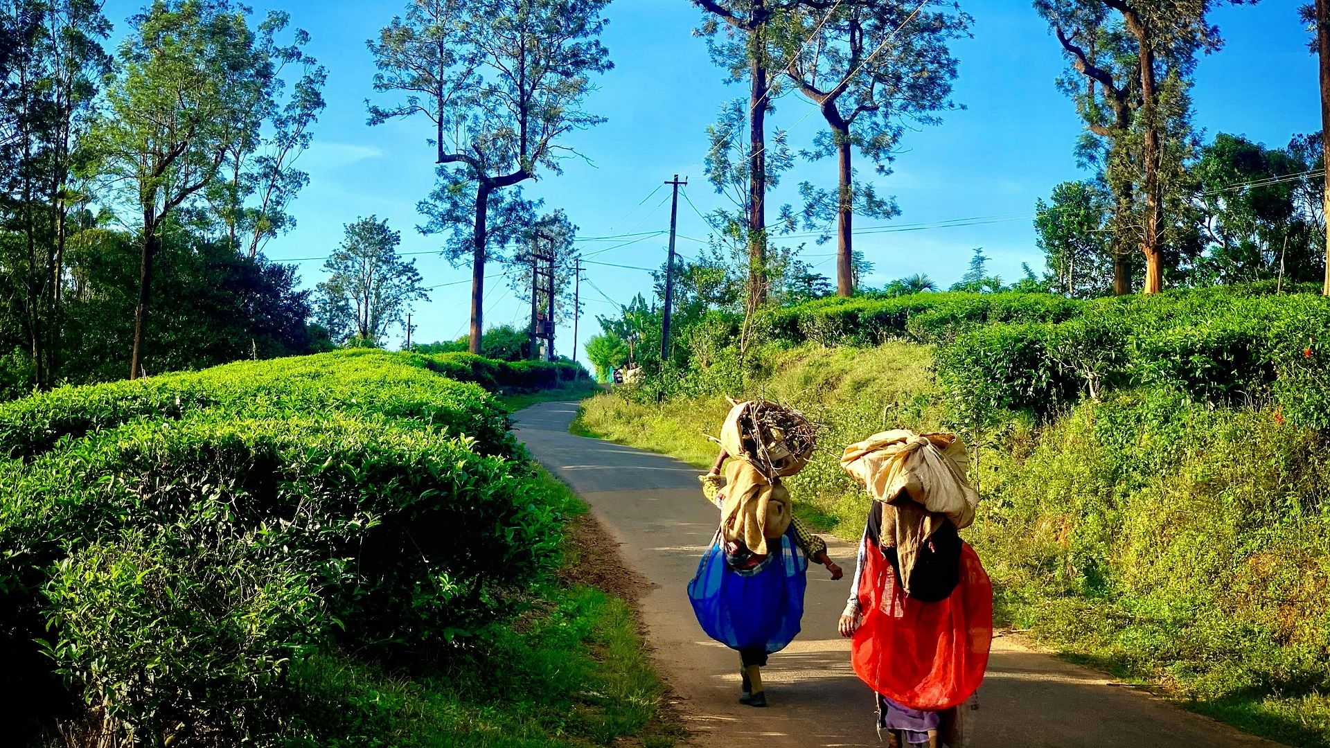 Kerala Itinerary 7-10 Days: First-Timer Guide To Tourist Attractions 2024