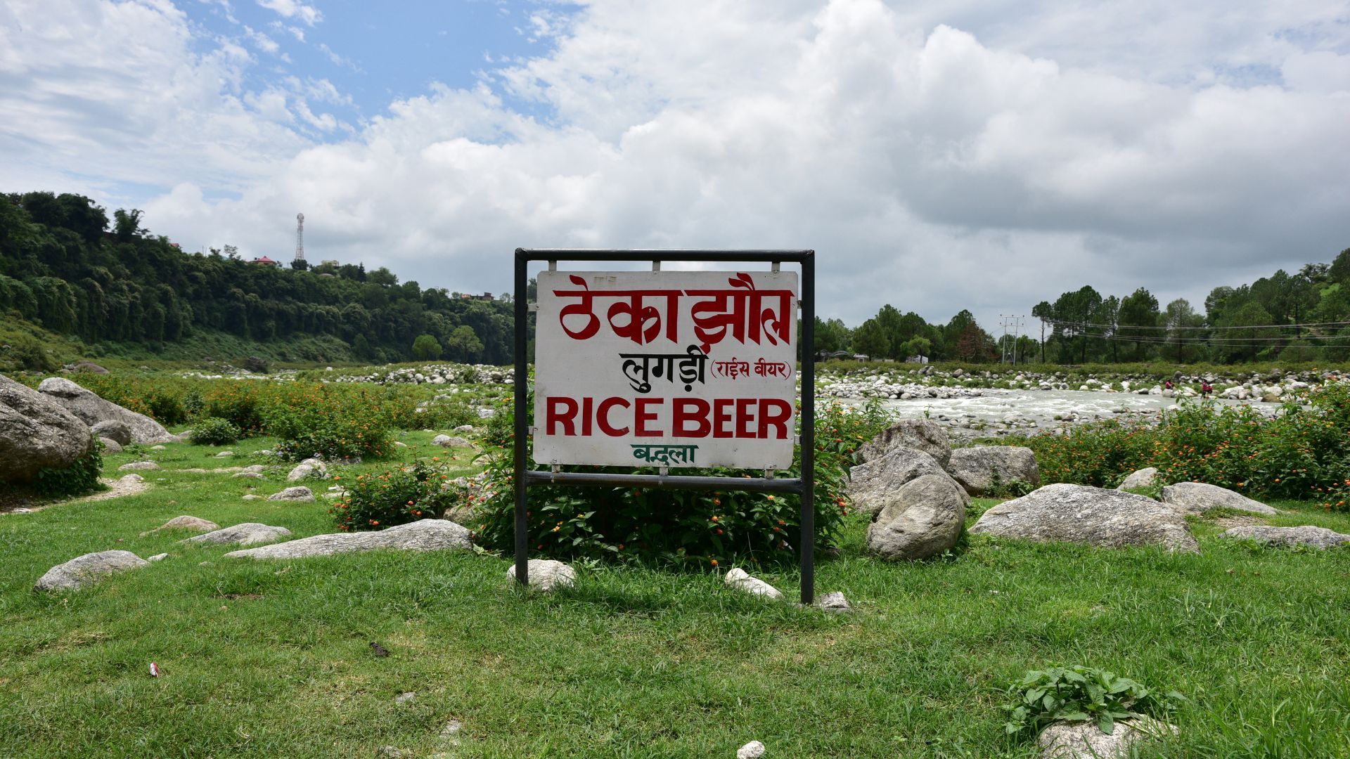 Regional Alcohols Of India: Travel To Diverse Landscapes For Local Spirits