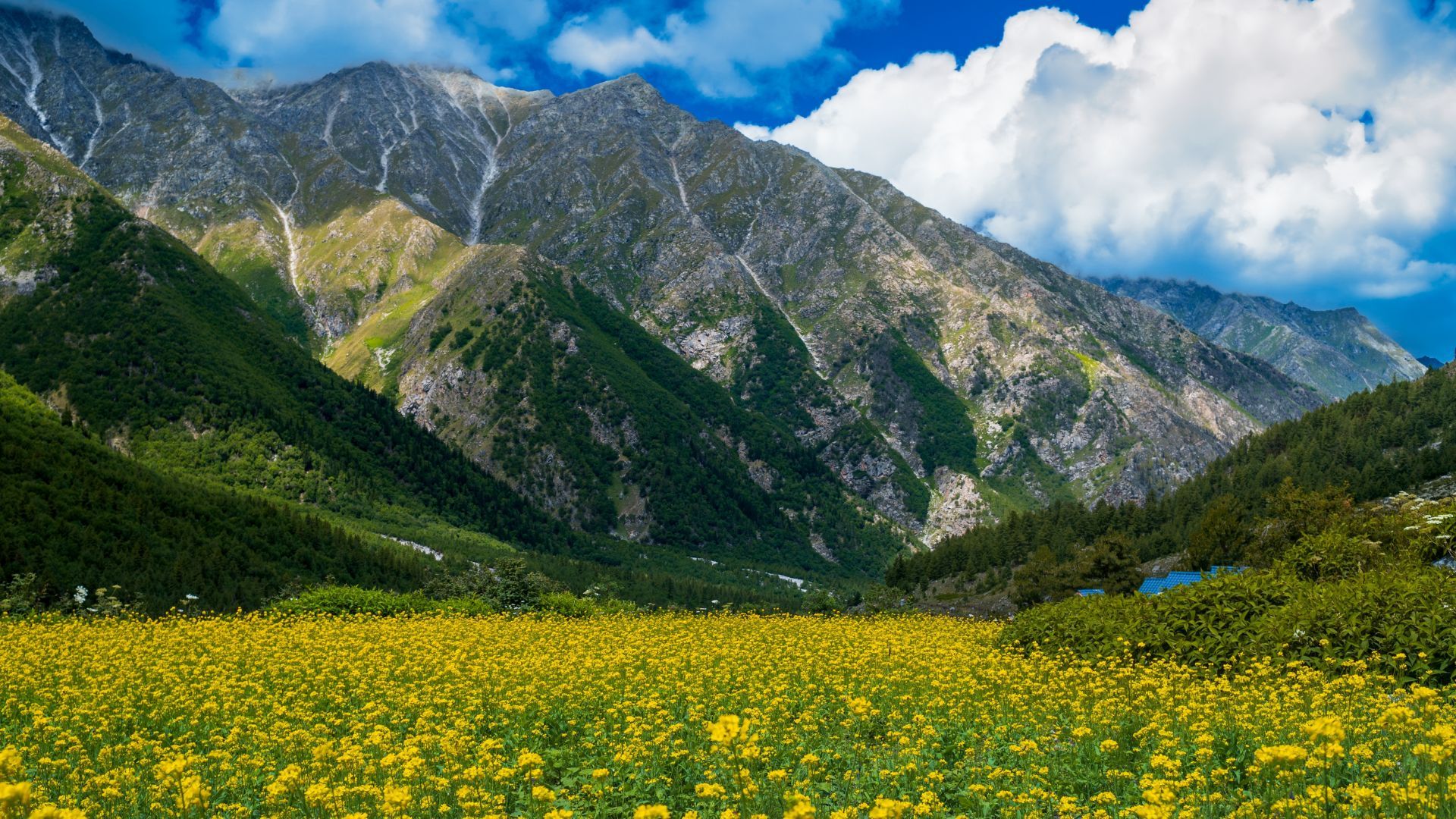 The Most Beautiful Places In Himachal Pradesh To Visit In 2024