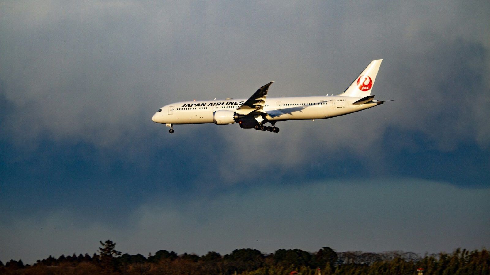 Tokyo To Doha Flight: Japan Airlines Unveils Direct Route