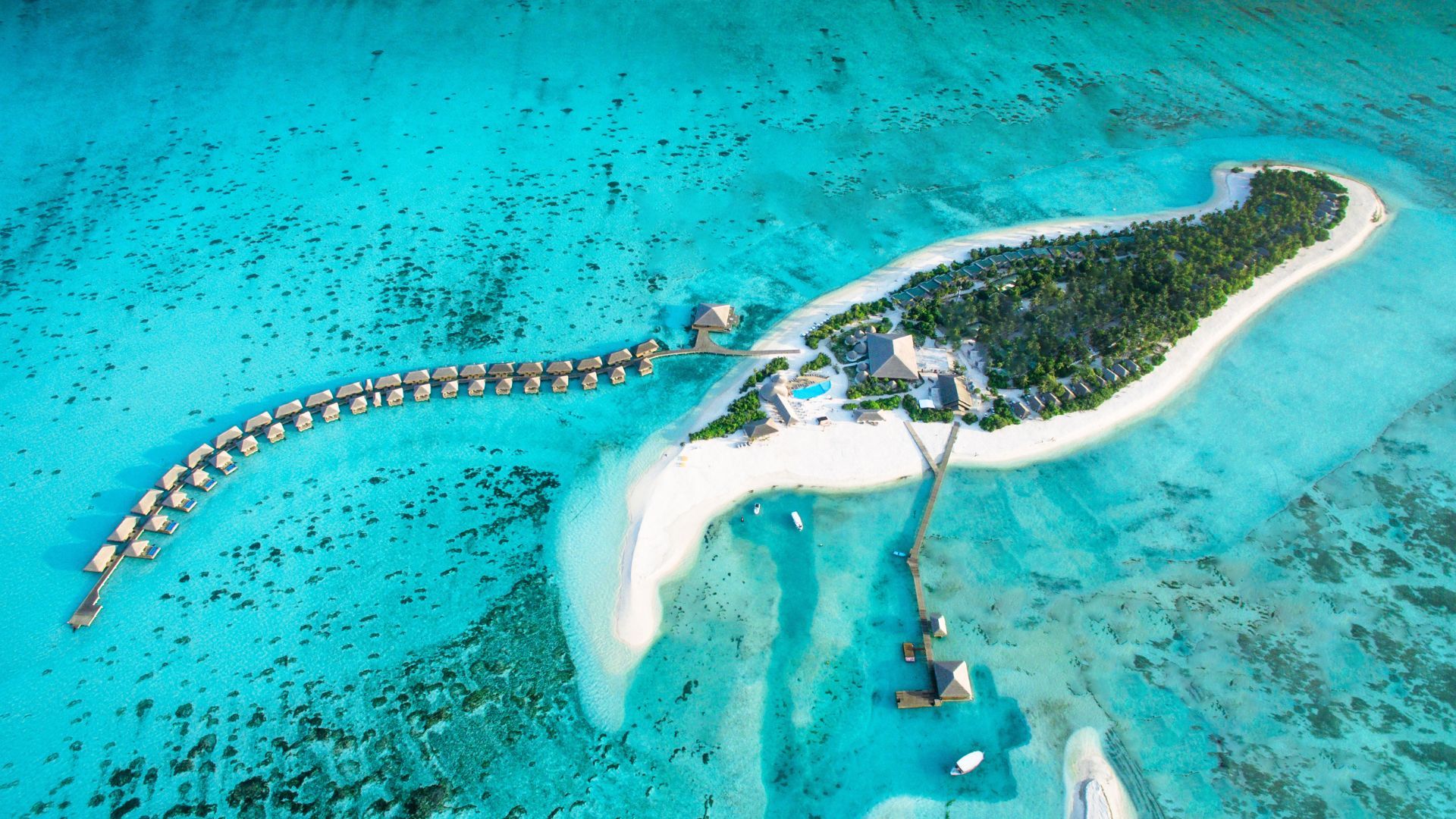 Unveiling Paradise At The Cocoon Collection In The Maldives