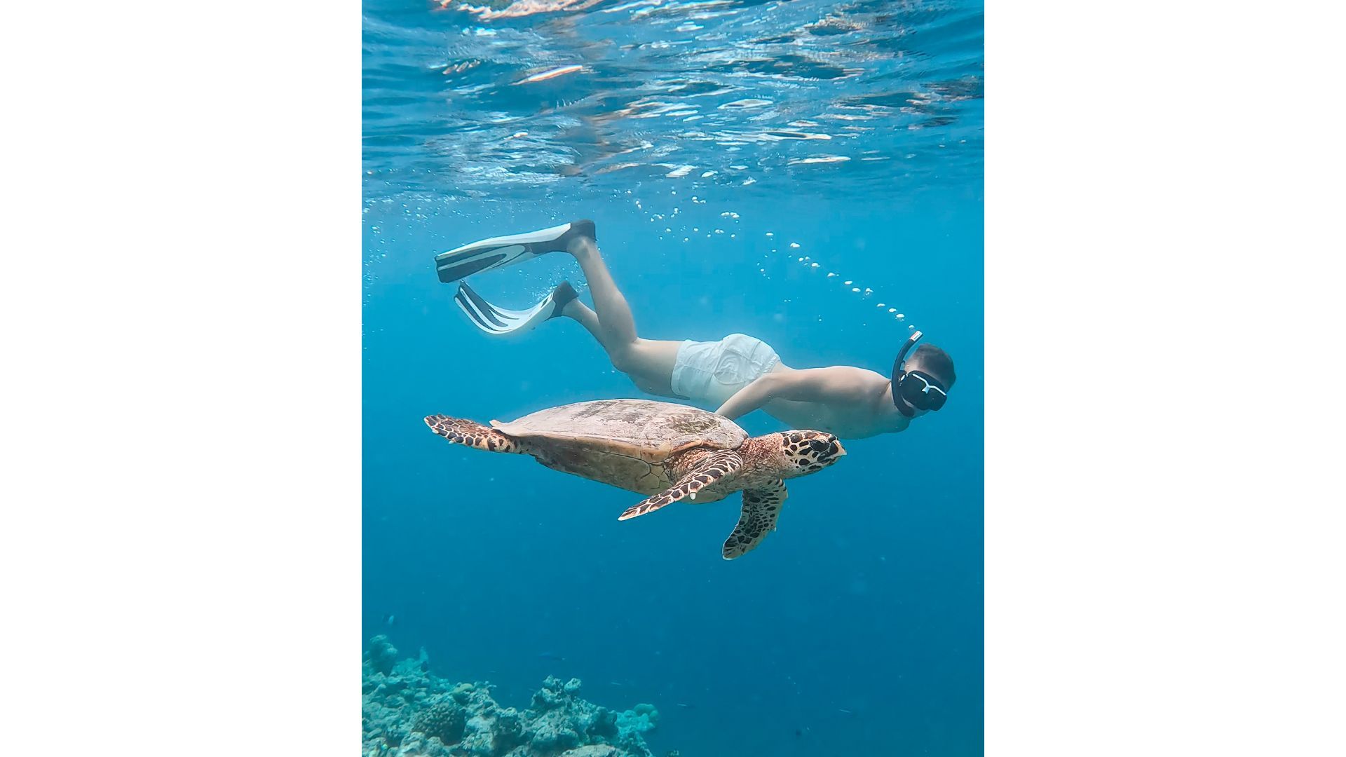 Unveiling Paradise At The Cocoon Collection In The Maldives