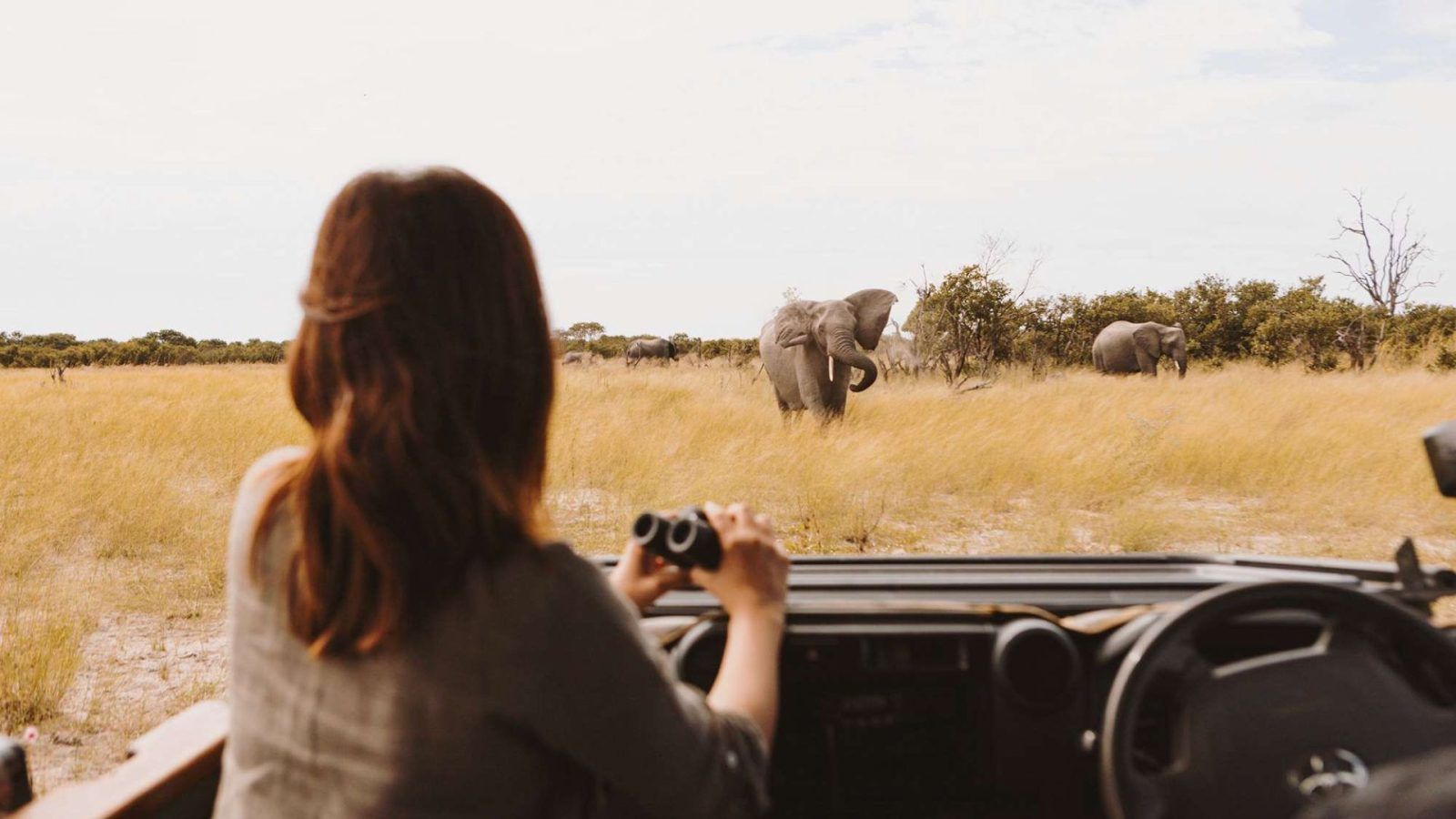 This 7-Night Safari Is One Of The Best Ways To Experience Botswana