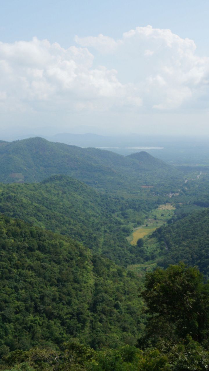 All About Lambasingi - The South India Hill Station That Sees Snowfall