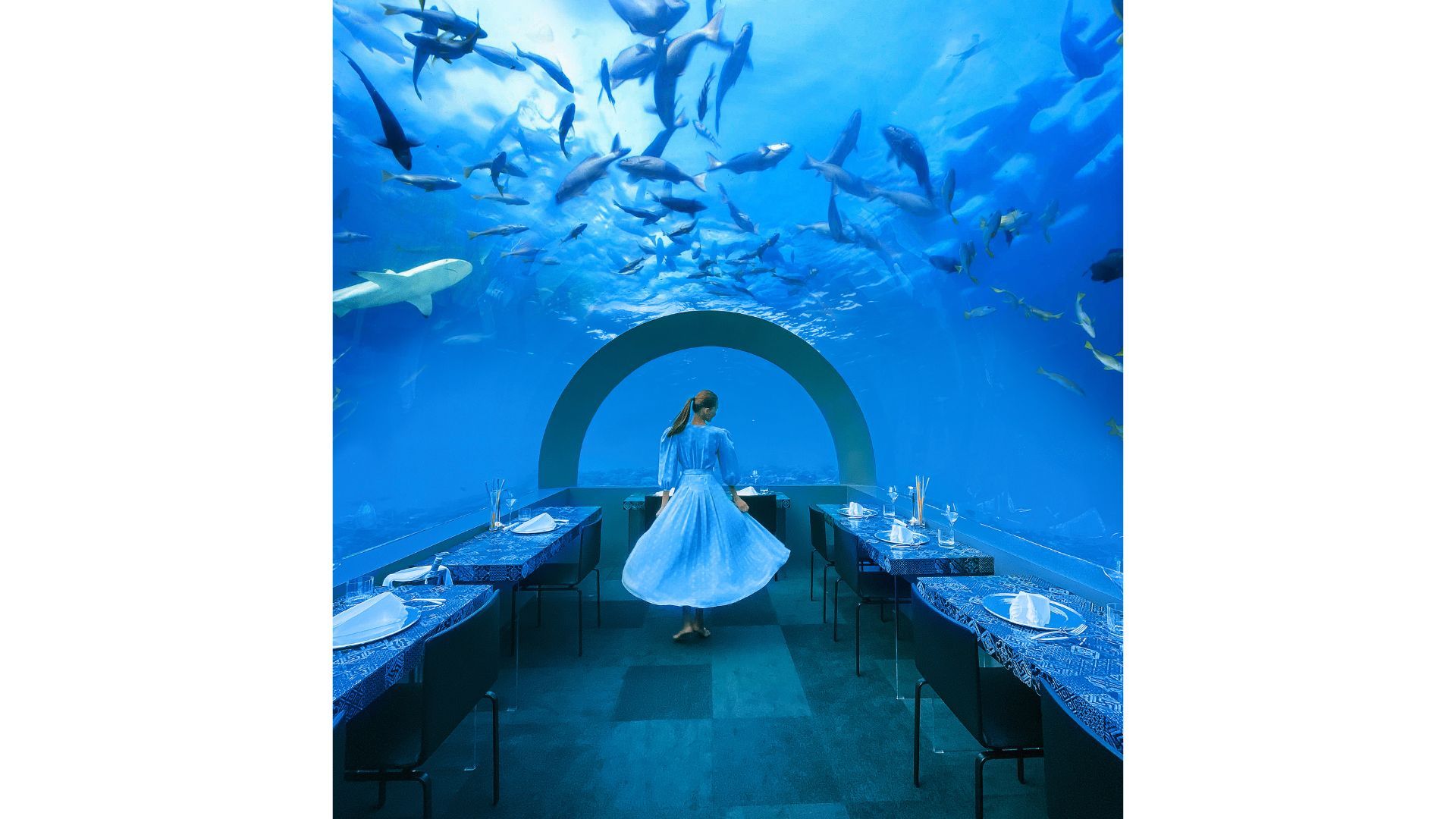 Unveiling Paradise At The Cocoon Collection In The Maldives