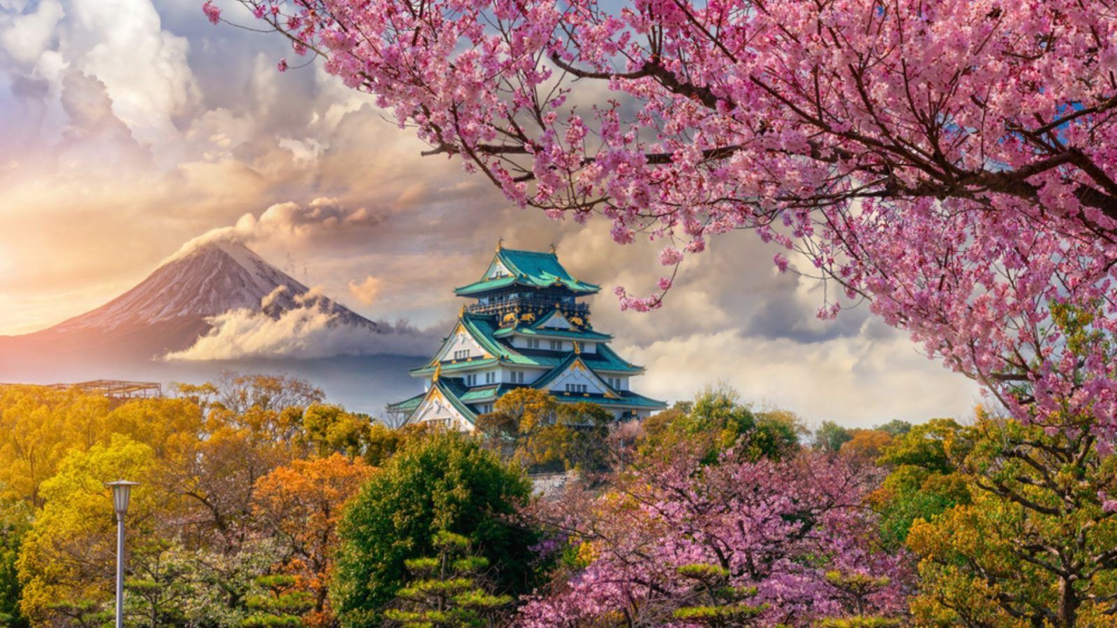 Japan Tourist Visa 101: E-Visa Process, Eligibility, Fees For Indian ...