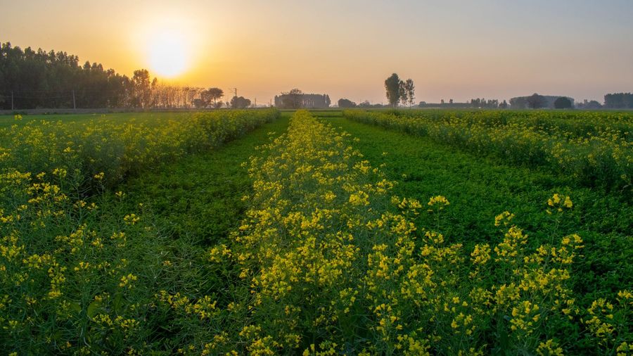 Explore The Best Places In & Around Mohali For A Memorable Trip 2024