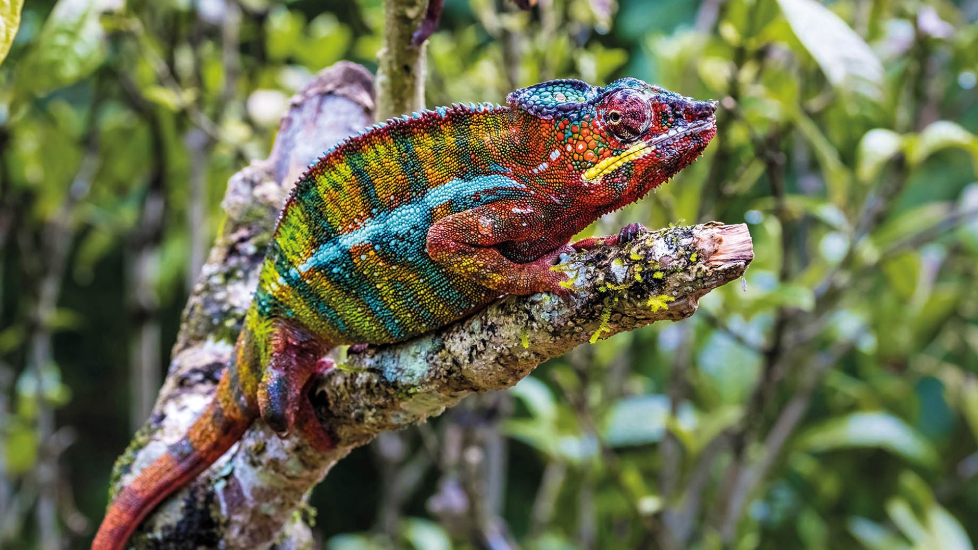 Bookmark This: 20 Ideas For Multi-generational Travel