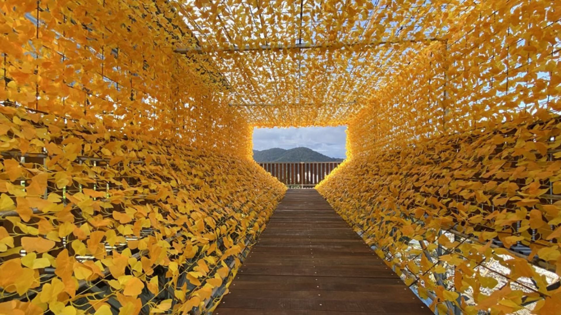 An Ultimate Guide To Visit Cameron Highlands Flora Park Malaysia 2024