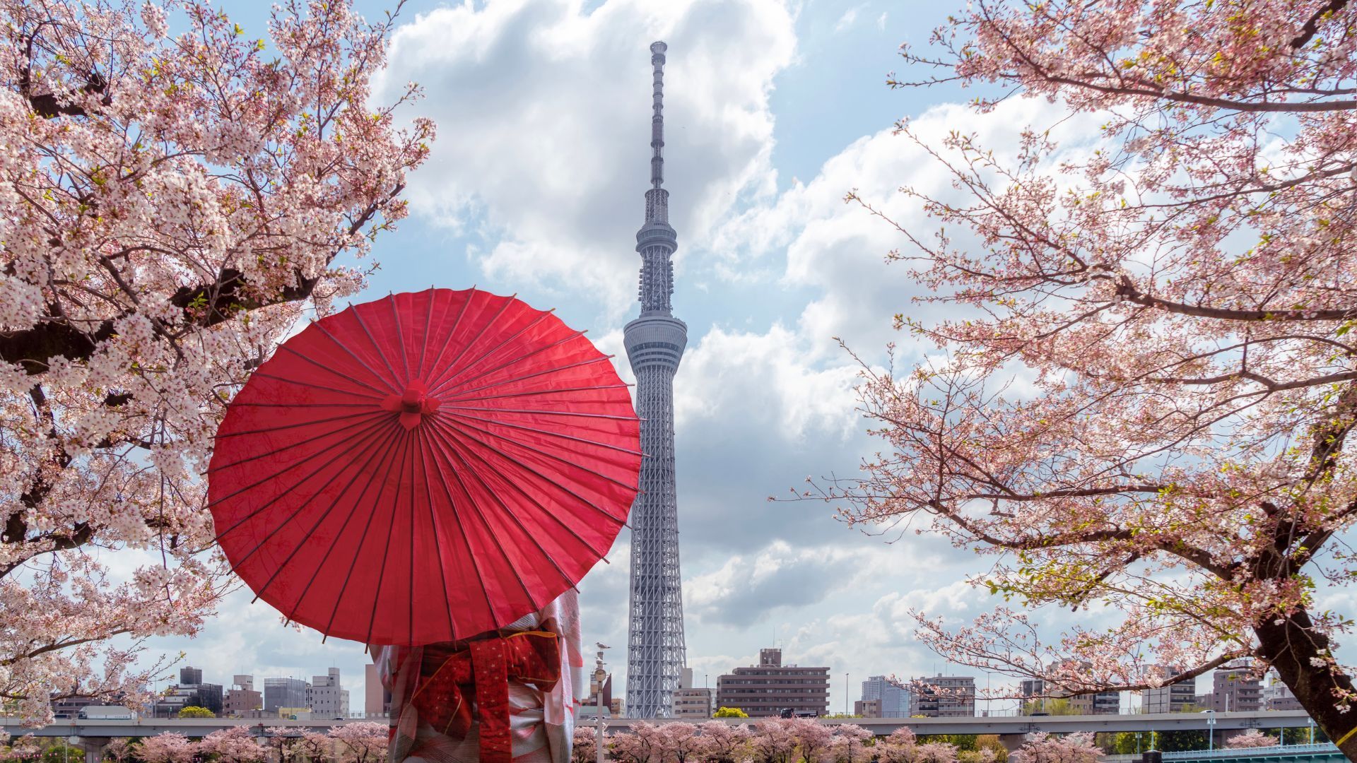 Tokyo Itinerary: Your 10-Day Guide To Exploring The City Like a Local
