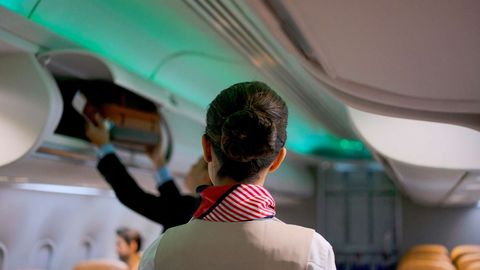 Do Flight Attendants Get Free Flights? Aviation Experts Weigh In