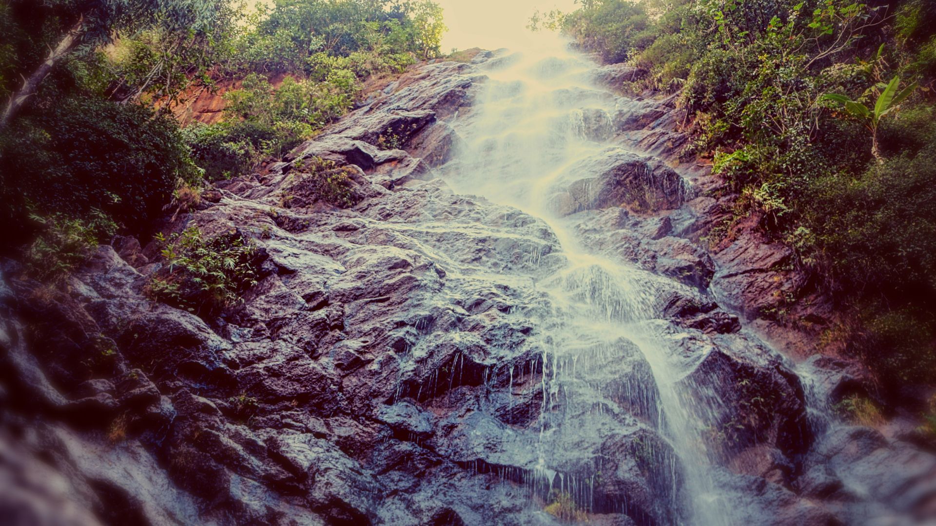 Ananthagiri Hills: Forest Camping, Trekking, & Resorts - Definitive ...