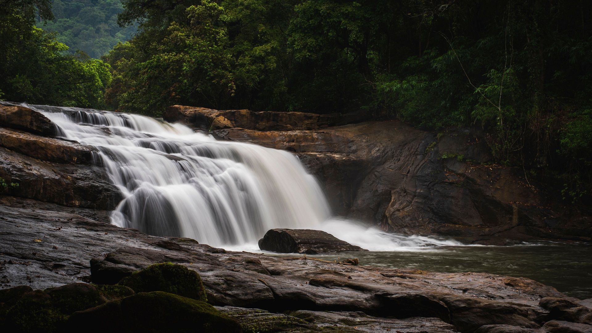 Most Beautiful Waterfalls In Munnar Idukki For A Summer Getaway 2024