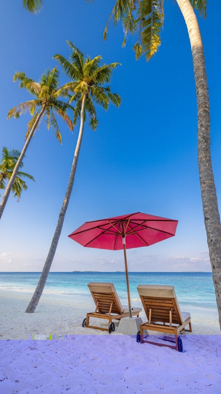 Travel Terms That Are Defining Trends In 2024