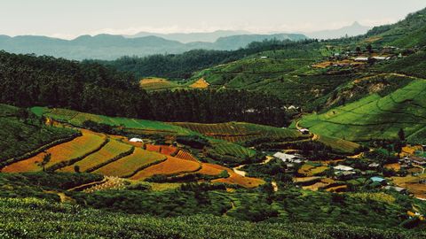 Through The Lens: The Many Landscapes Of Sri Lanka
