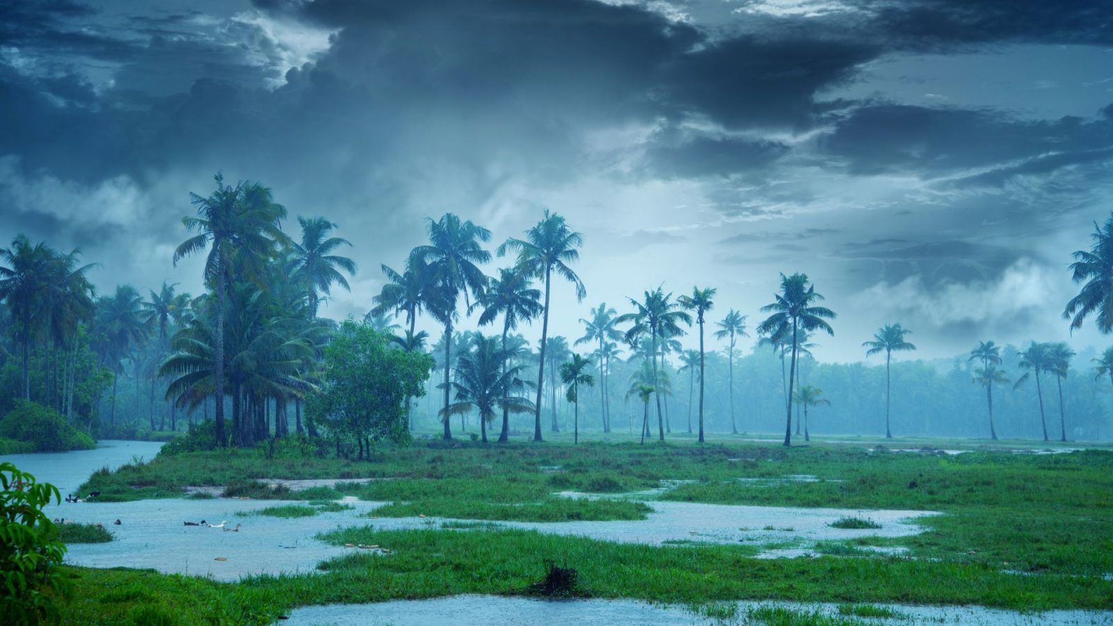 Kerala On Heavy Rainfall Alert With Red Warnings Issued By IMD