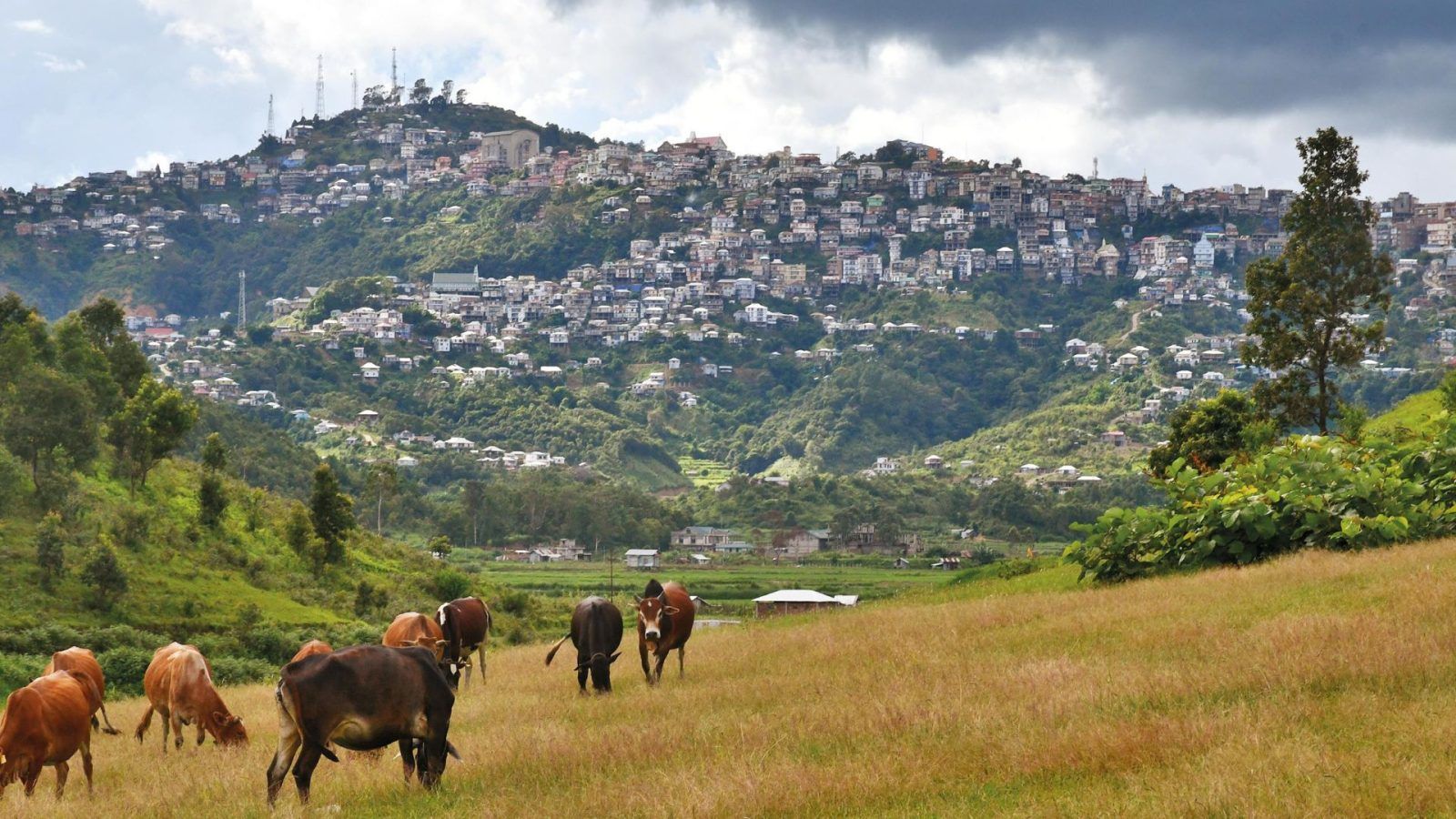 Exploring Champhai: A Road Trip Through Mizoram, India's Happiest State