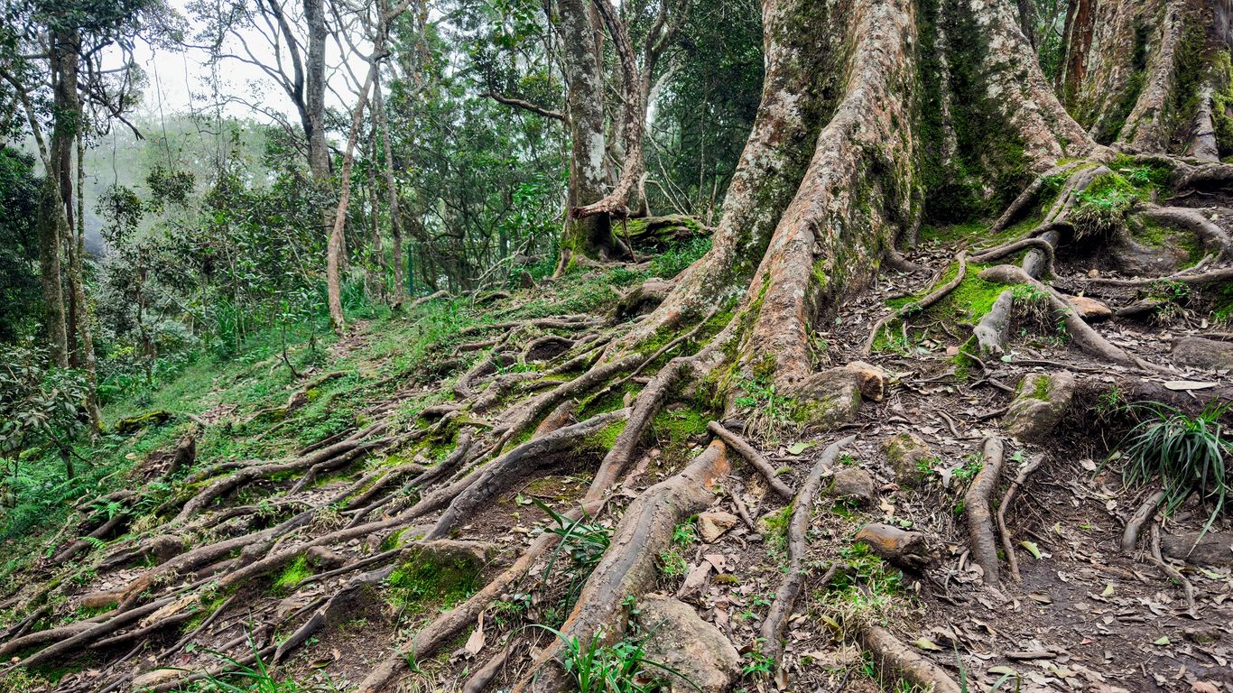 'Manjummel Boys': Filming Locations Of The Survival Thriller In Guna ...