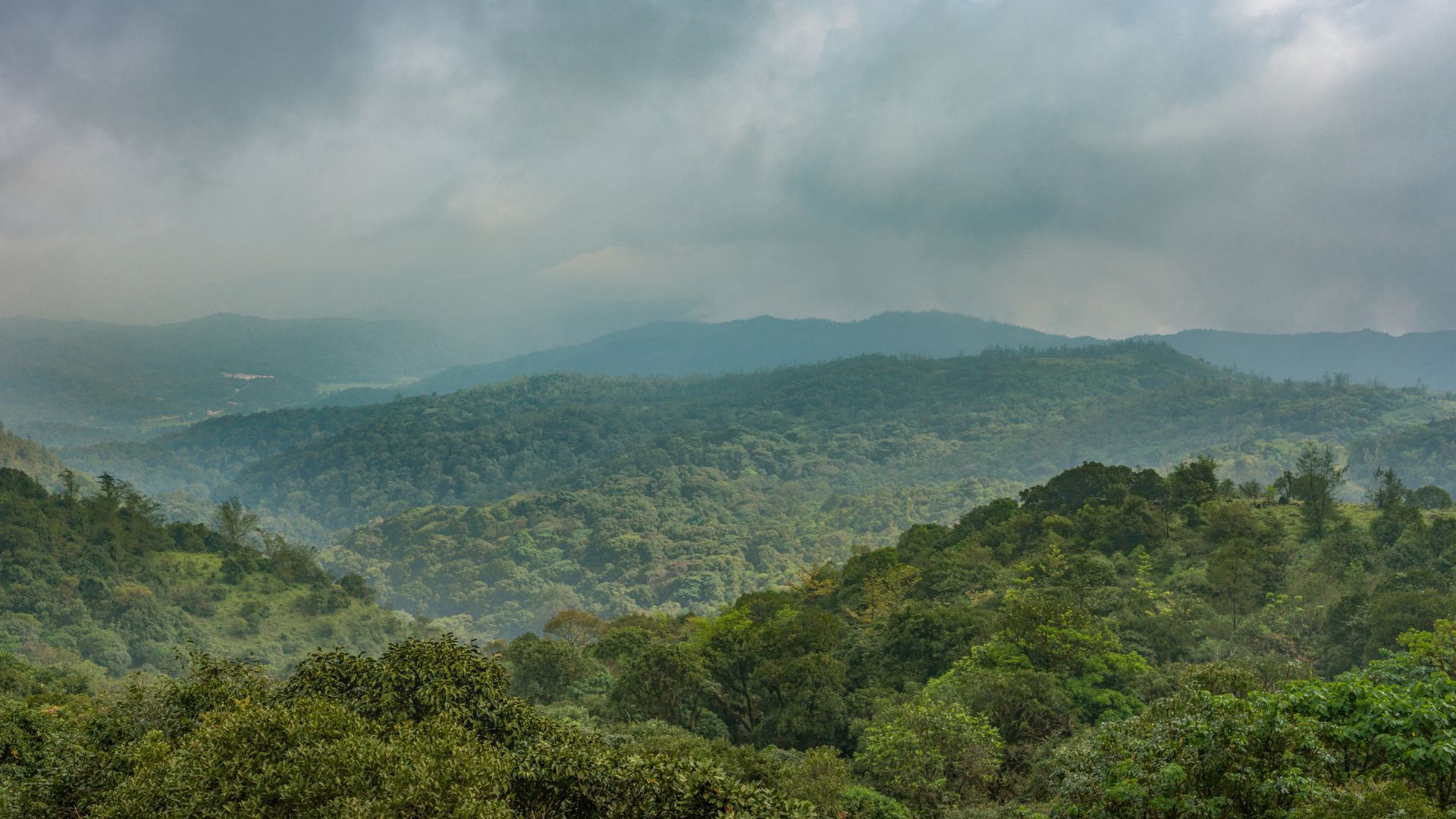 Coorg Itinerary:10 Days Guide To Off-The-beaten-Path Exploration Of Kodagu