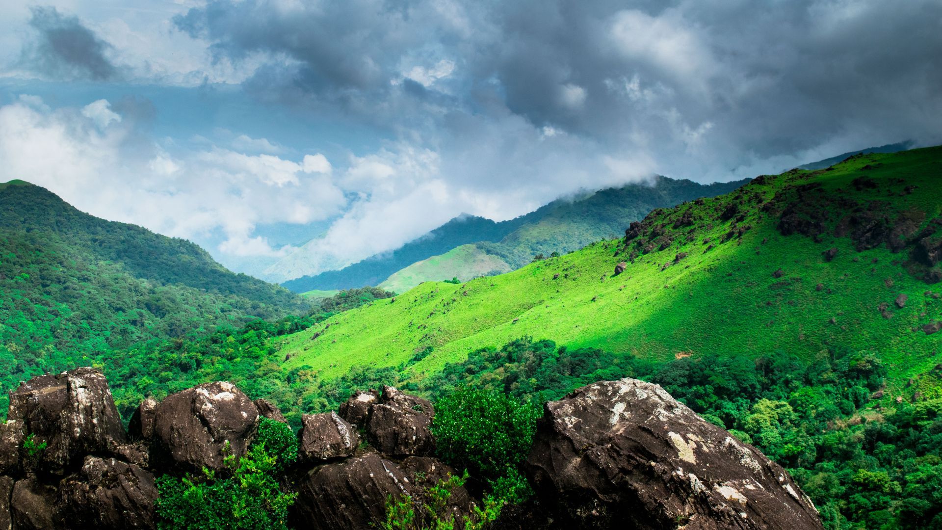 Coorg Itinerary:10 Days Guide To Off-The-beaten-Path Exploration Of Kodagu