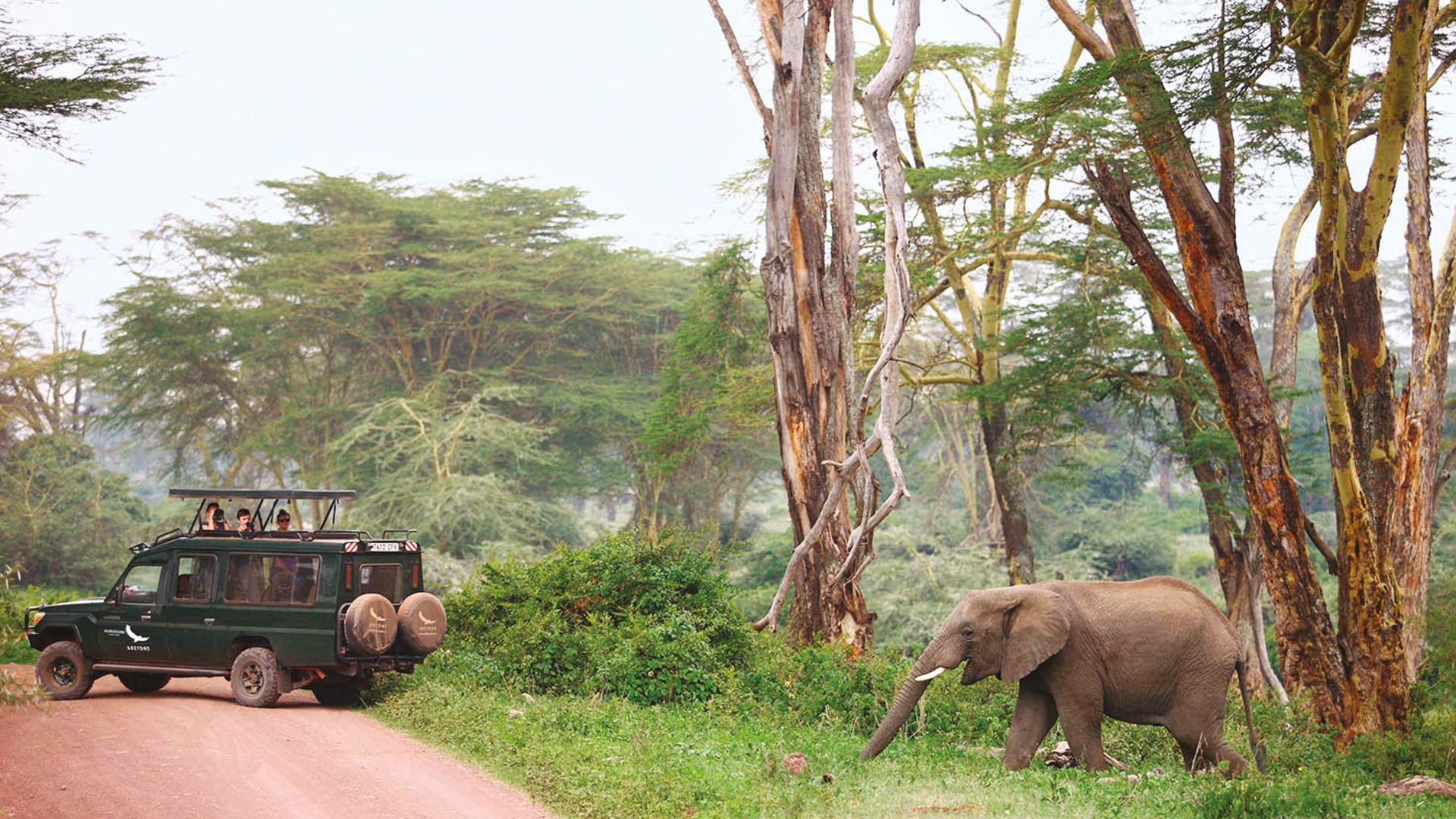 Why Tanzania Is The Best Place For Wild Encounters & Lavish Retreats