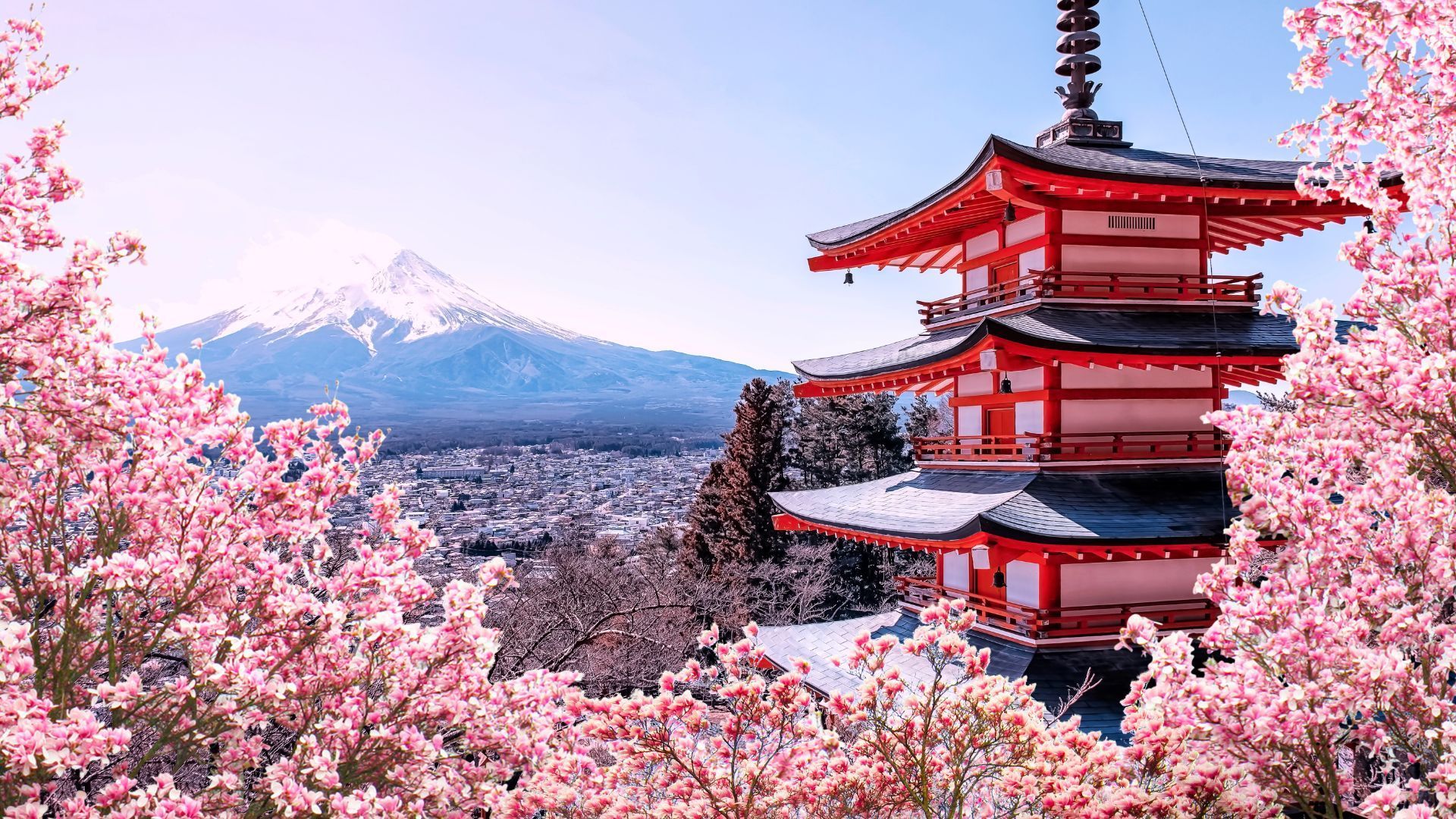 China Vs Japan: Where To Visit For Your Next Asian Adventure Trip 2024