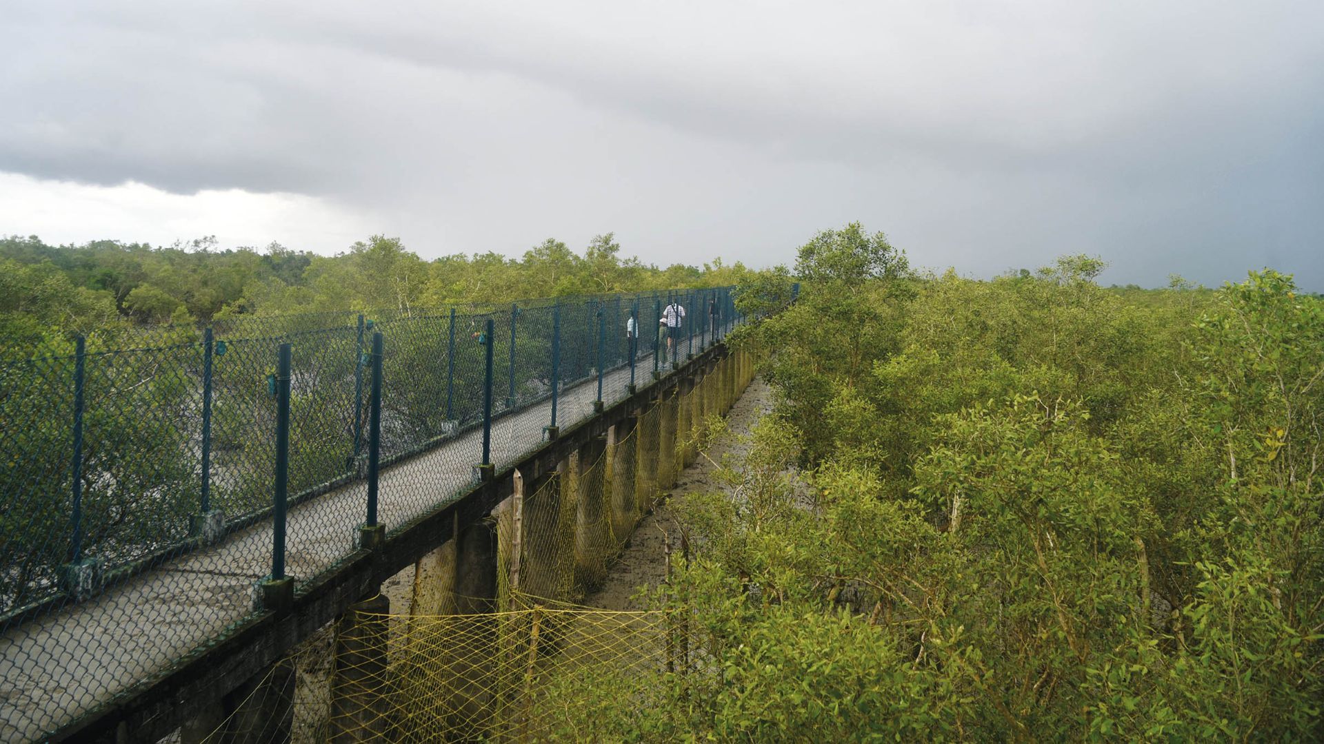 Cruising Through The Sunderbans On The Antara Ganges Voyager