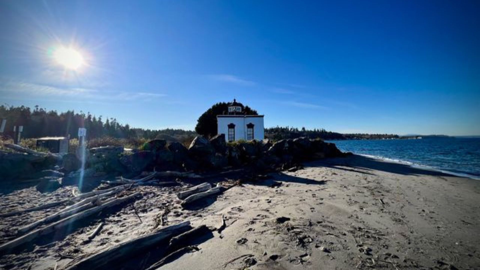 Kitsap Peninsula In Washington Has The Most Stunning Bioluminescence