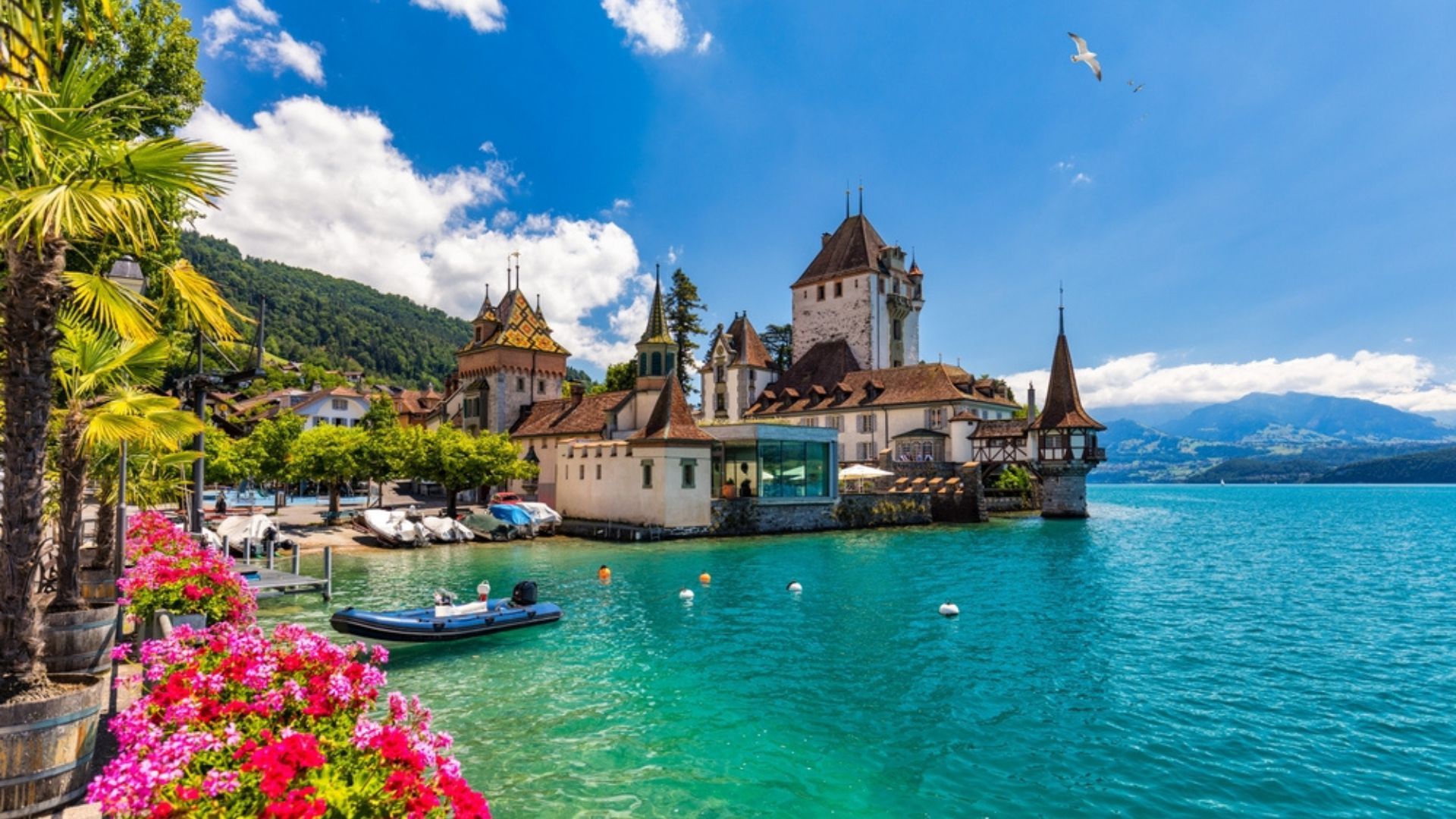 Easiest Schengen Visa Countries 2024: Avoid Visa Rejections Here