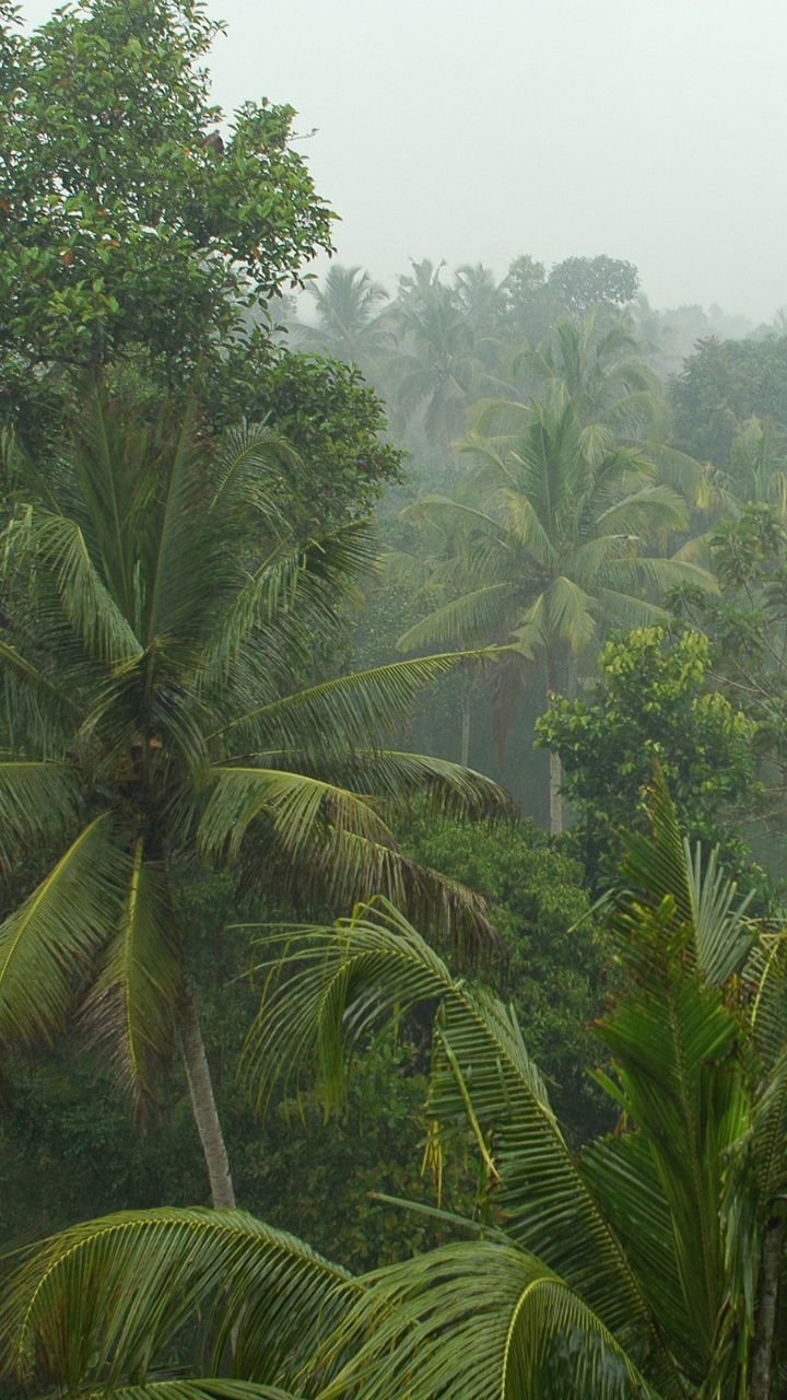 Beautiful Places To Visit In South India In Monsoon Season