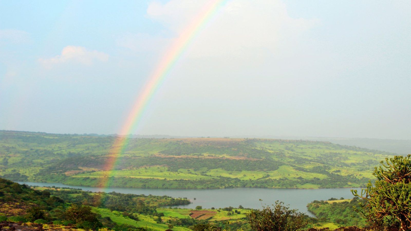 Best Places To Visit In India During Monsoon 2024 To Enjoy The Rainy Season