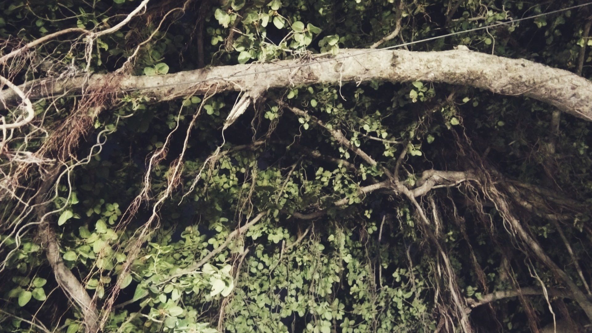 Places To Visit In Prayagraj: Ghats, Parks & Forts Explore Allahabad ...