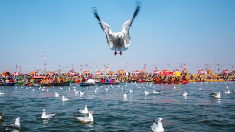 Prayagraj Triveni Sangam: Your Local Guide To The Ganges In Allahabad