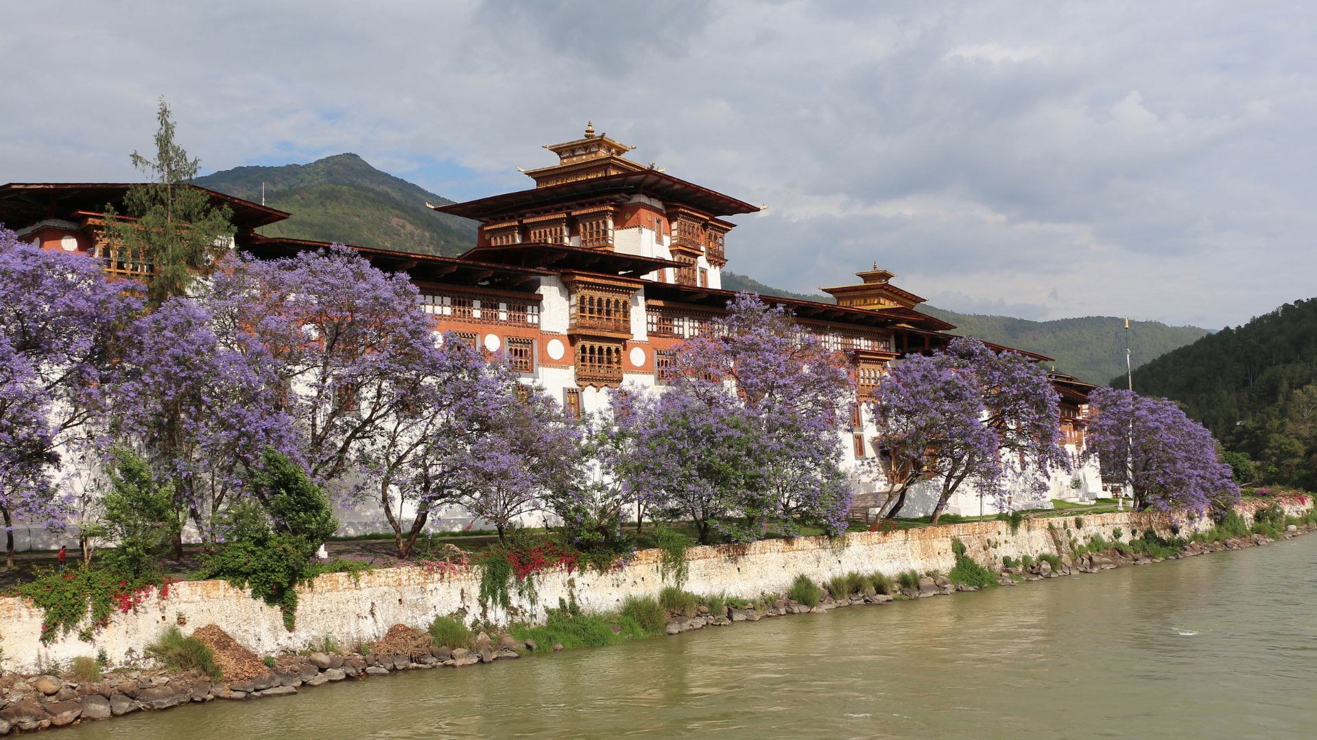Top Tourist Places In Bhutan: From Paro's Heights To Punakha's Valleys