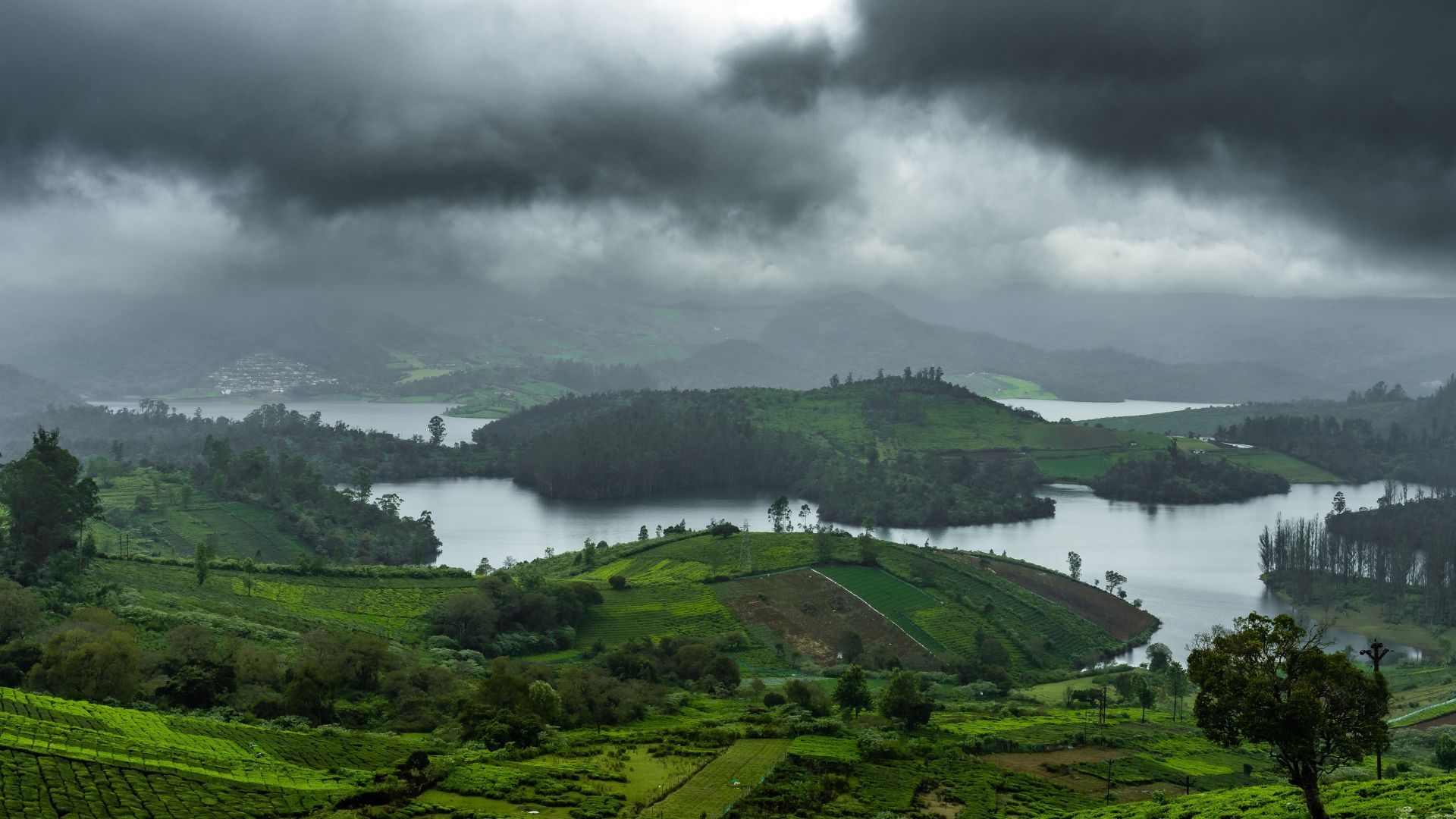 Hill Stations In Bollywood Movies: Thrillers Shot in Manali, Ooty, And More