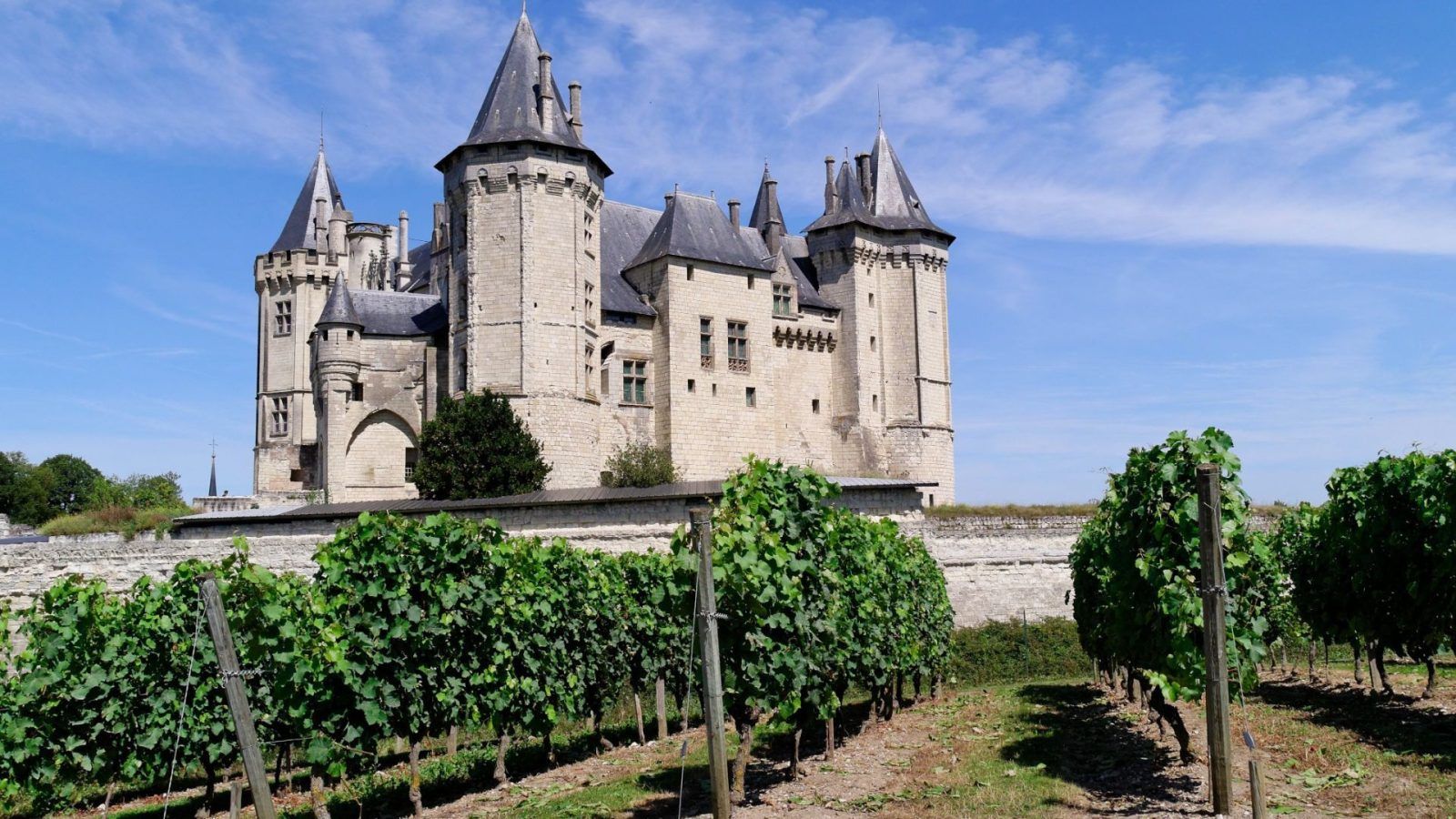Vineyards In France: A Wine Vacation Through The Grape Outdoors