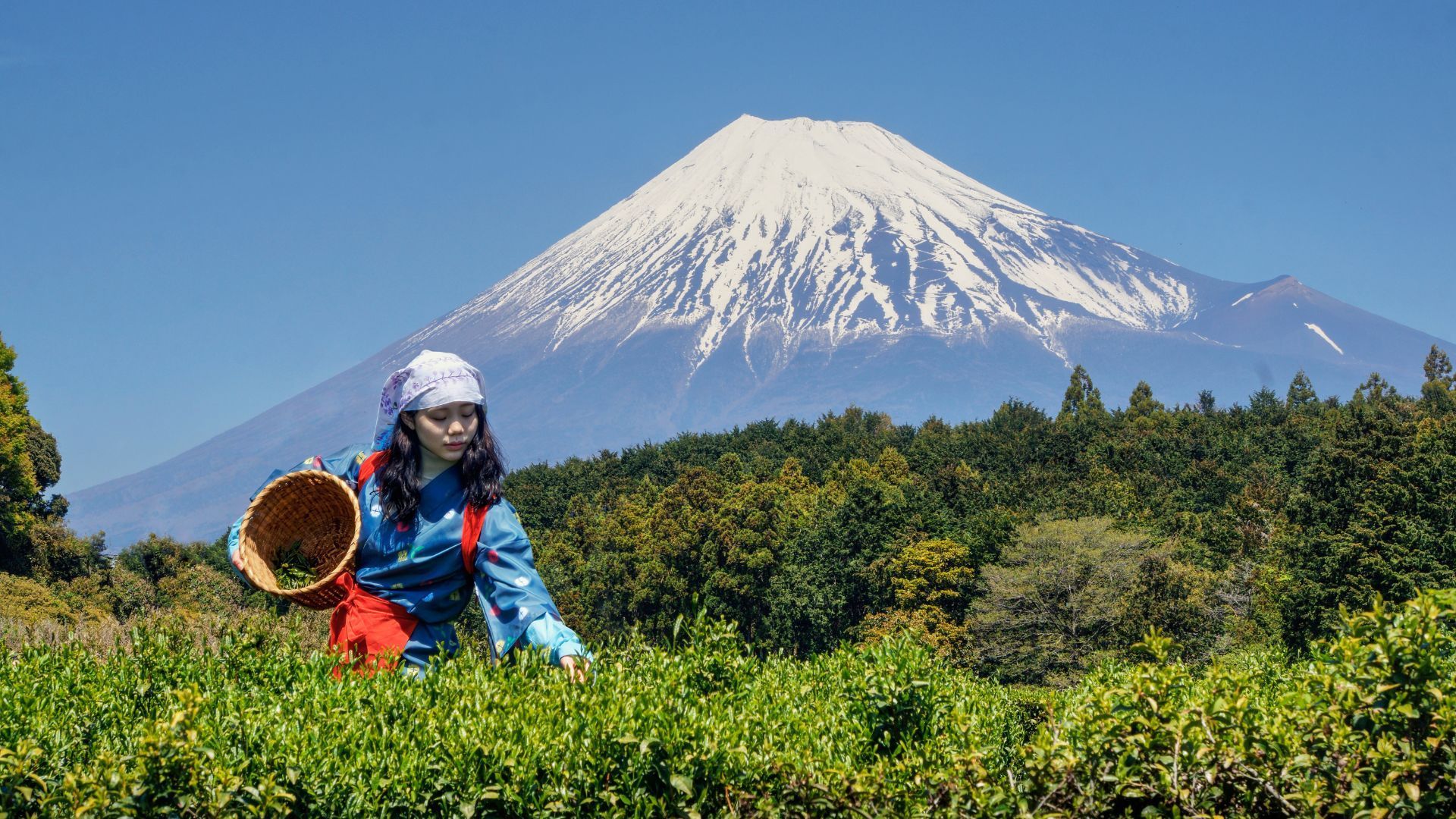 Onsen, Sushi, Sumo & Sake - Most Unique Experiences In Japan 2024