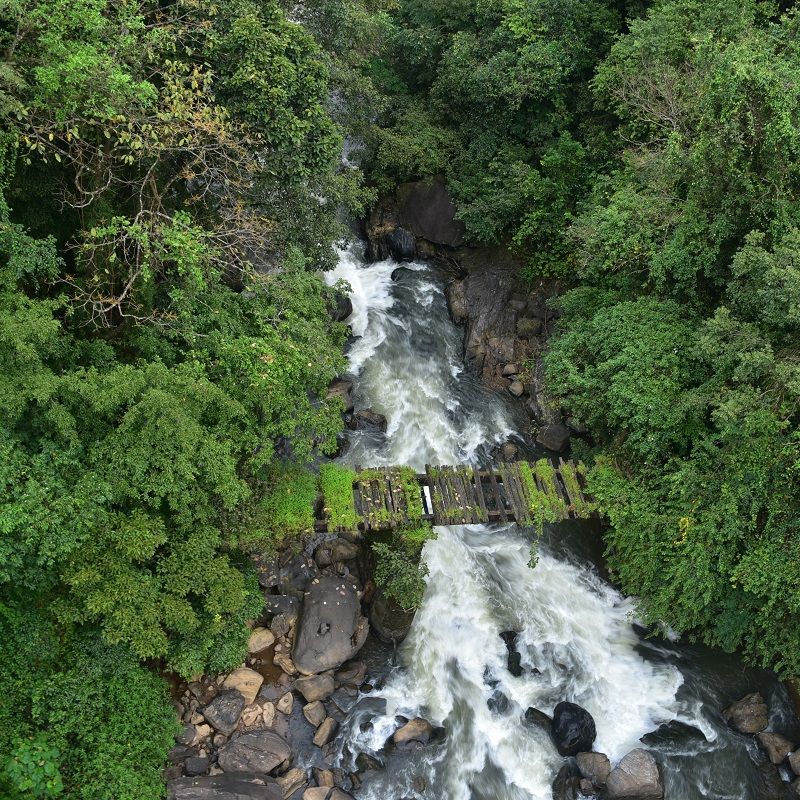 Bylakuppe Travel Guide: Discover Karnataka's Little Tibet In The Hills