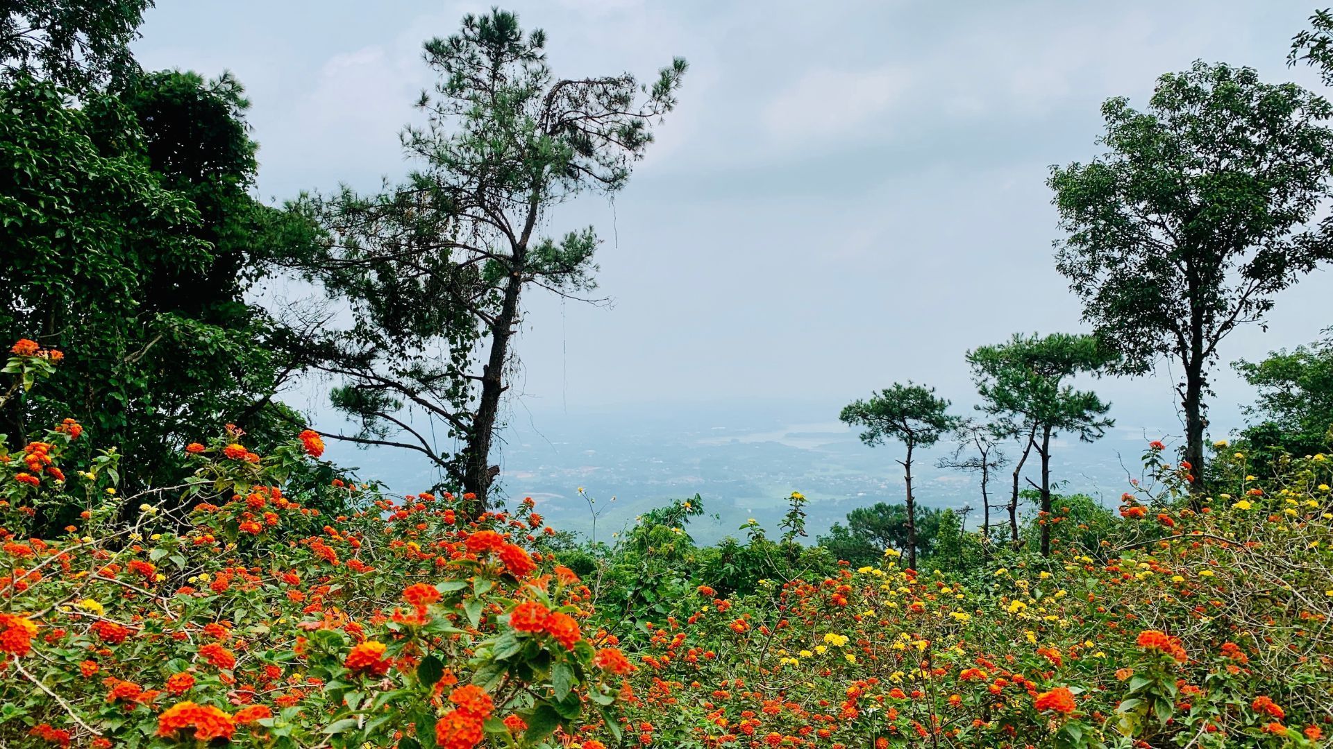 Hanoi Itinerary: Everything To Do, Eat And Explore Over 10 Days