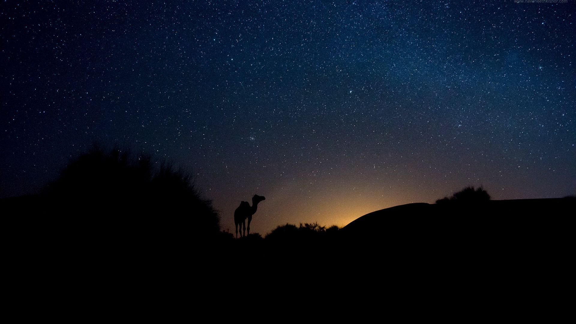 Sand Dunes, Safari & Night Sky: Guide To Jaisalmer Desert Camp ...