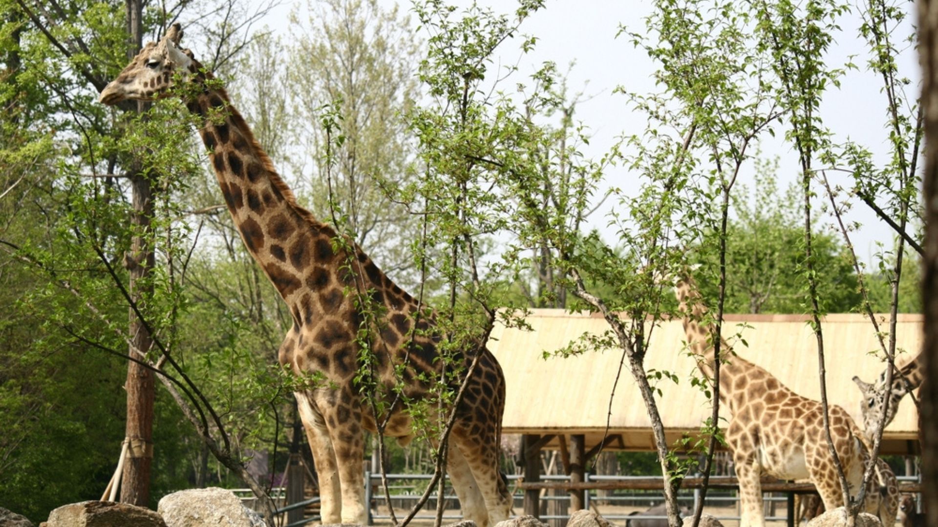 Things To Do In Gwacheon, BTS Star Jin's Hometown In South Korea