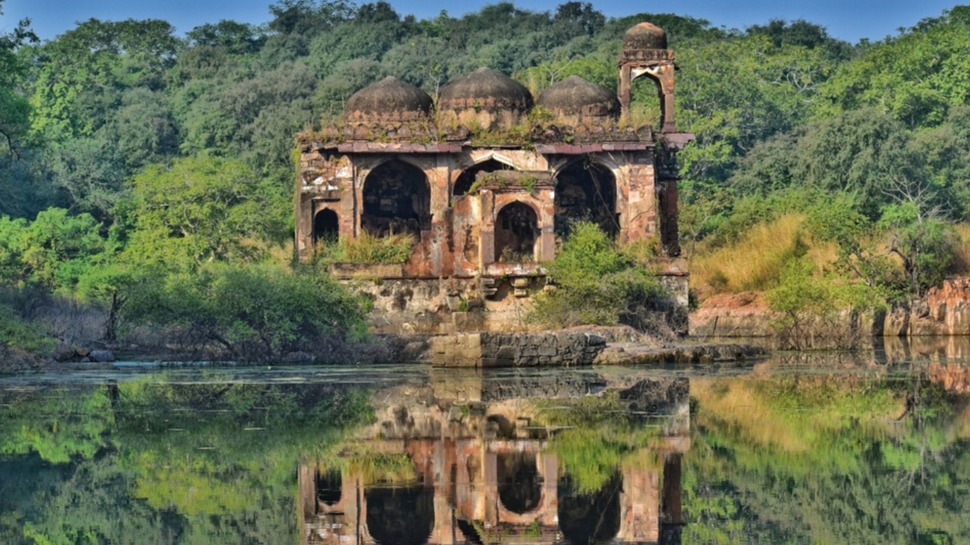 Tiger Safari In India: Best Destinations To Spot The Silent Hunter