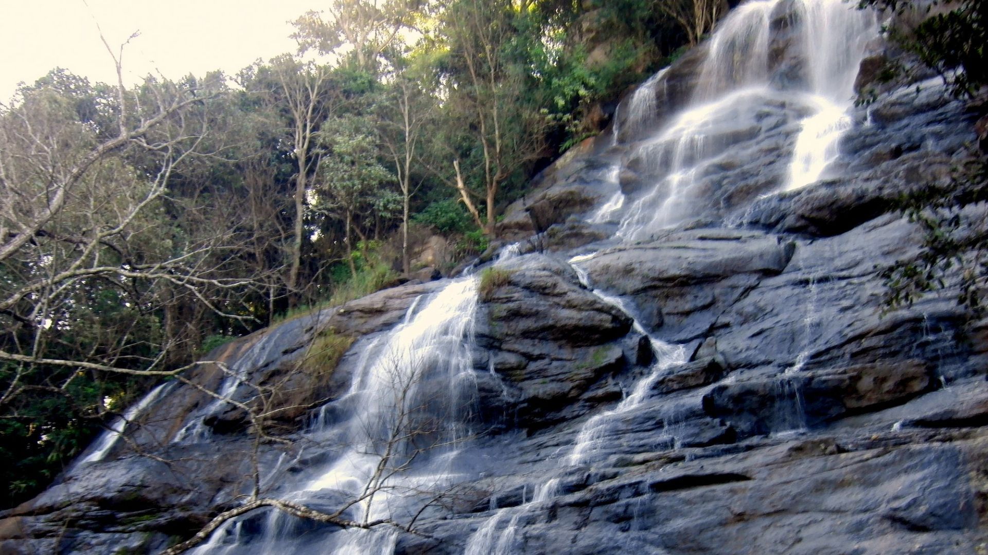Waterfalls, Hills & Lakes: Top Tourist Places In Yercaud Hill Station ...