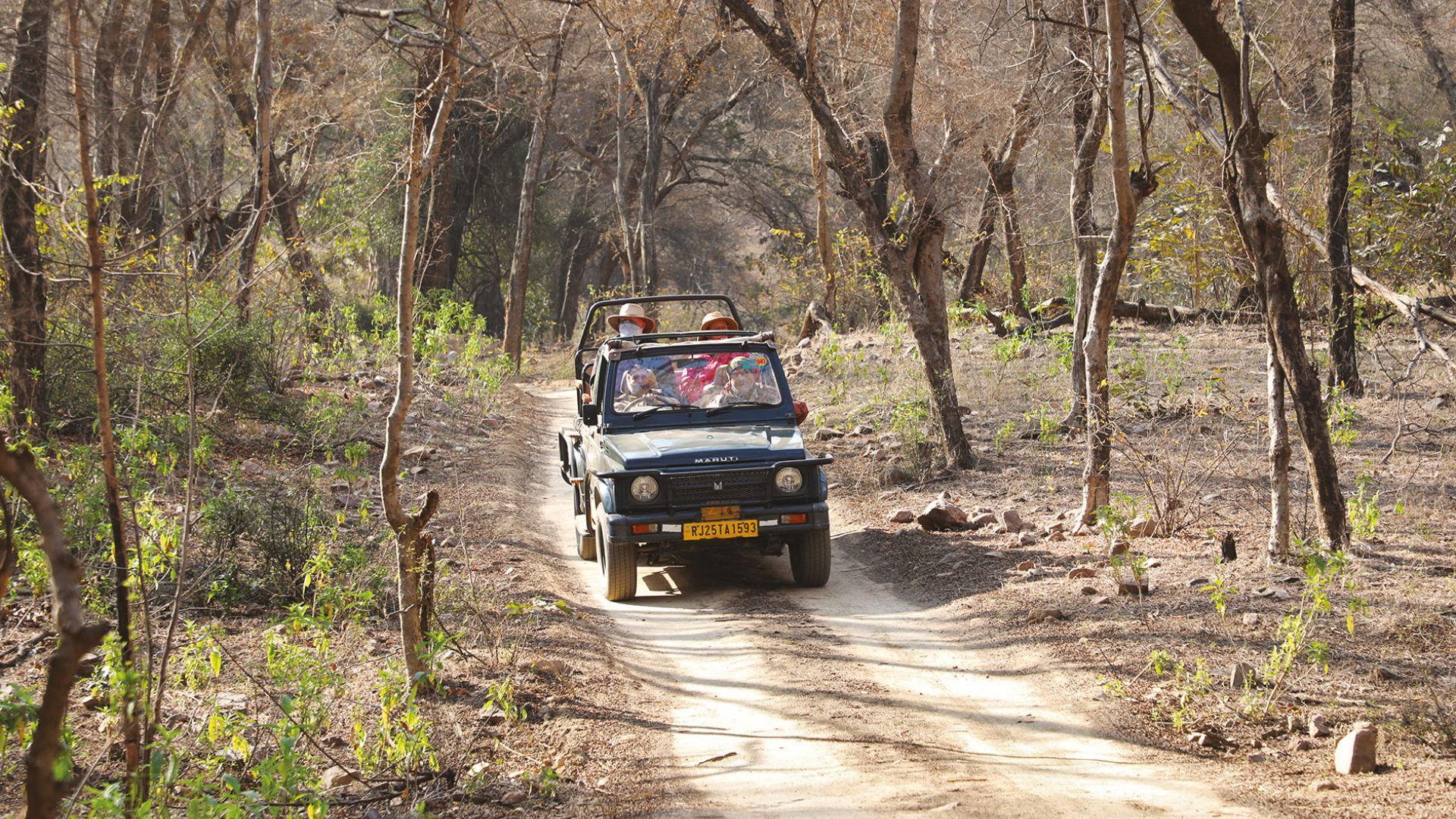 Where To Stay & What To Expect When In Ranthambore